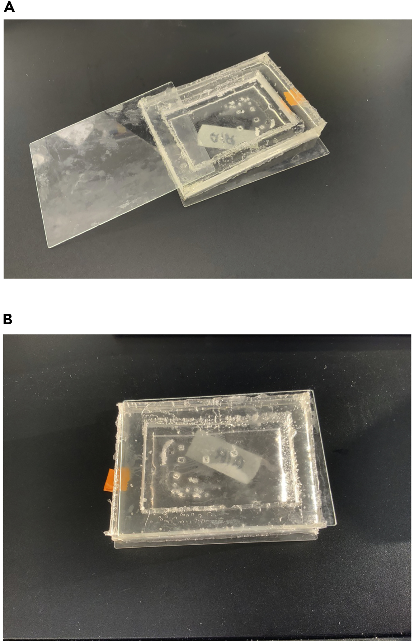 Cell Press: STAR Protocols
