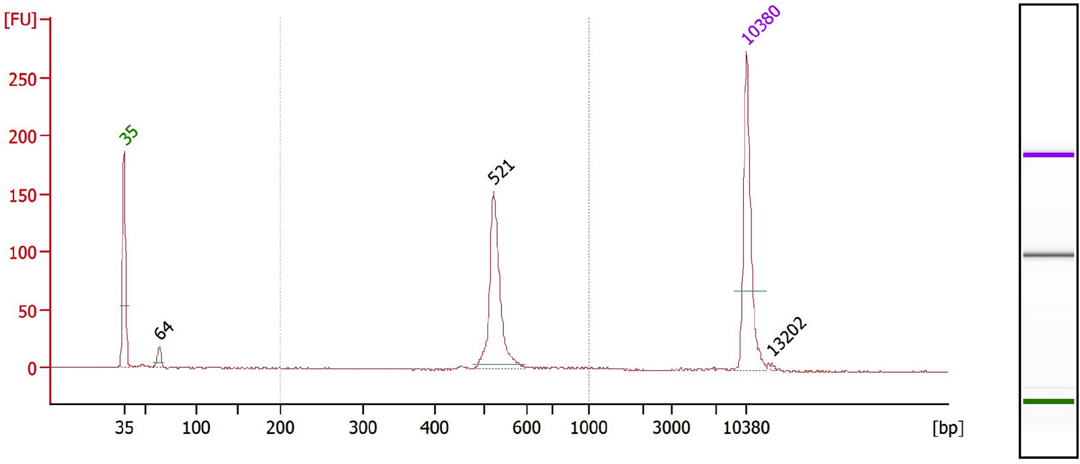 Cell Press: STAR Protocols