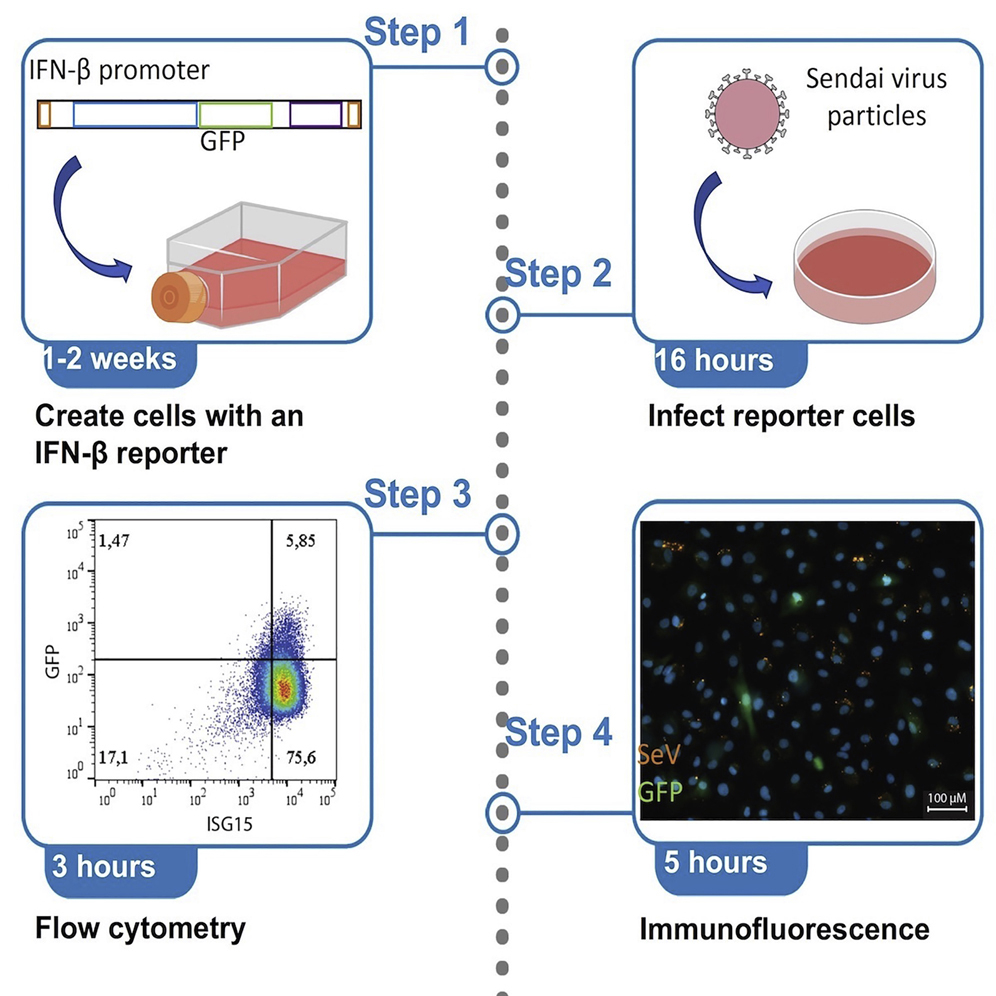 Cell Press: STAR Protocols