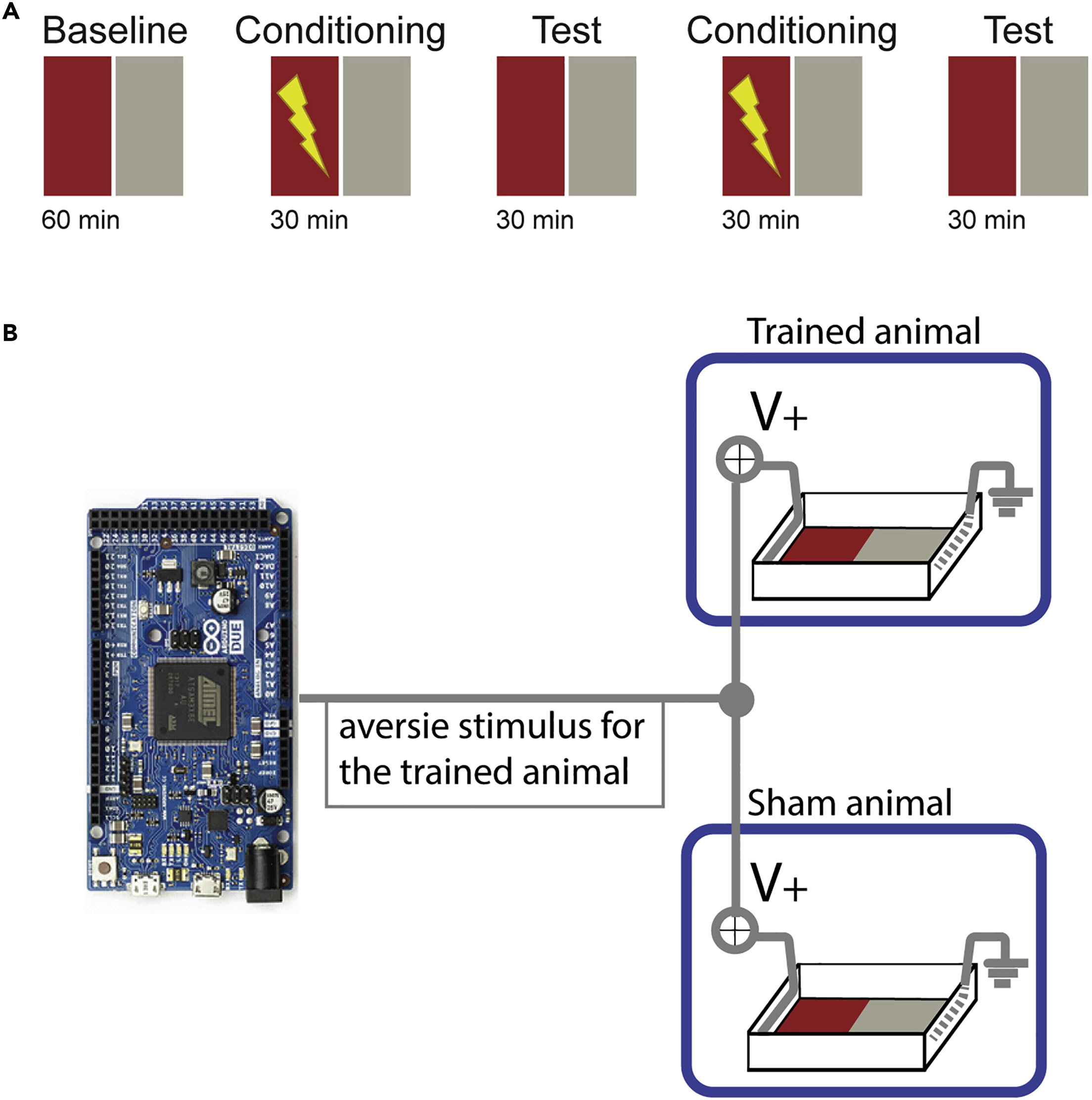 Cell Press: STAR Protocols