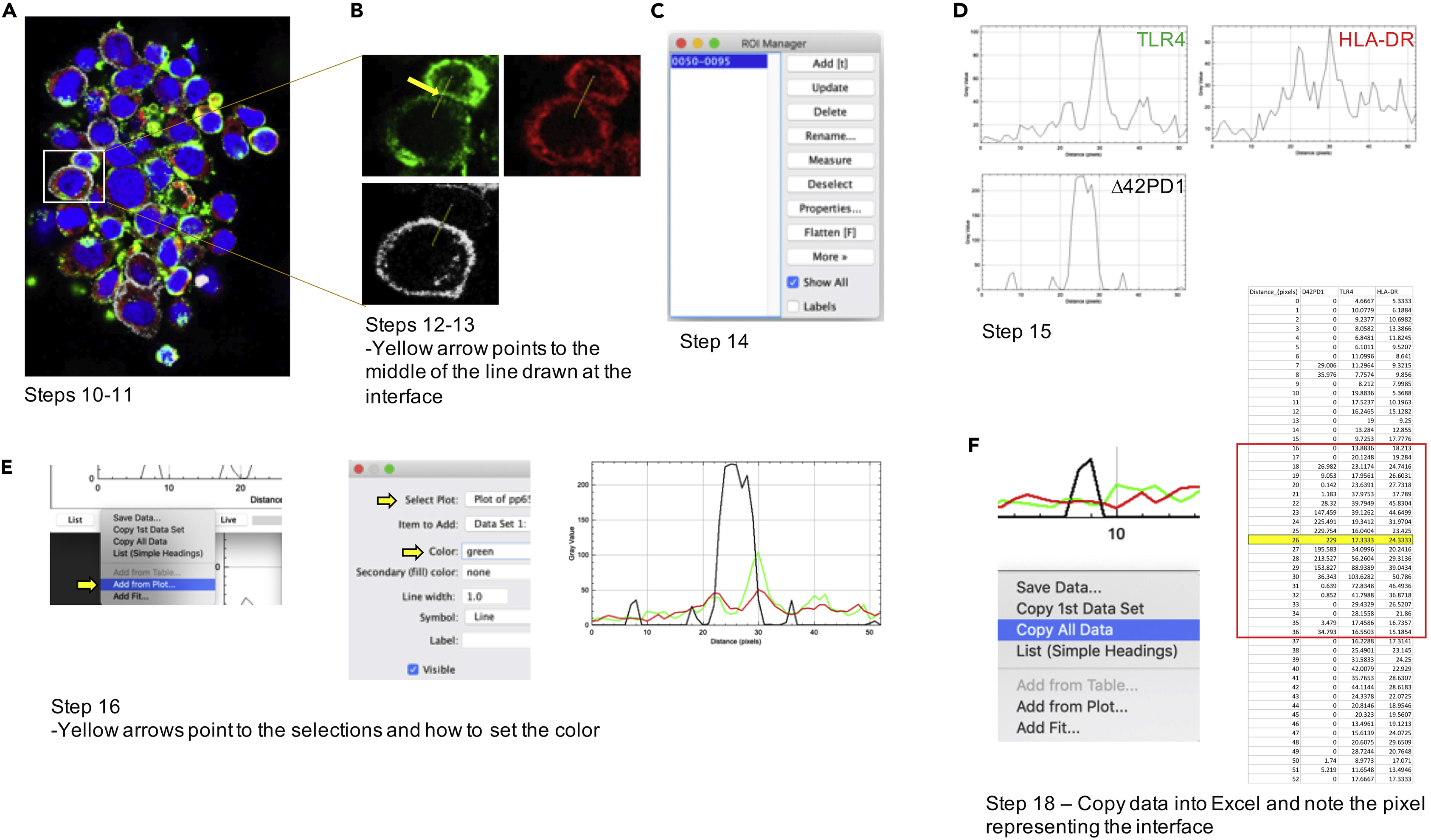 Cell Press: STAR Protocols