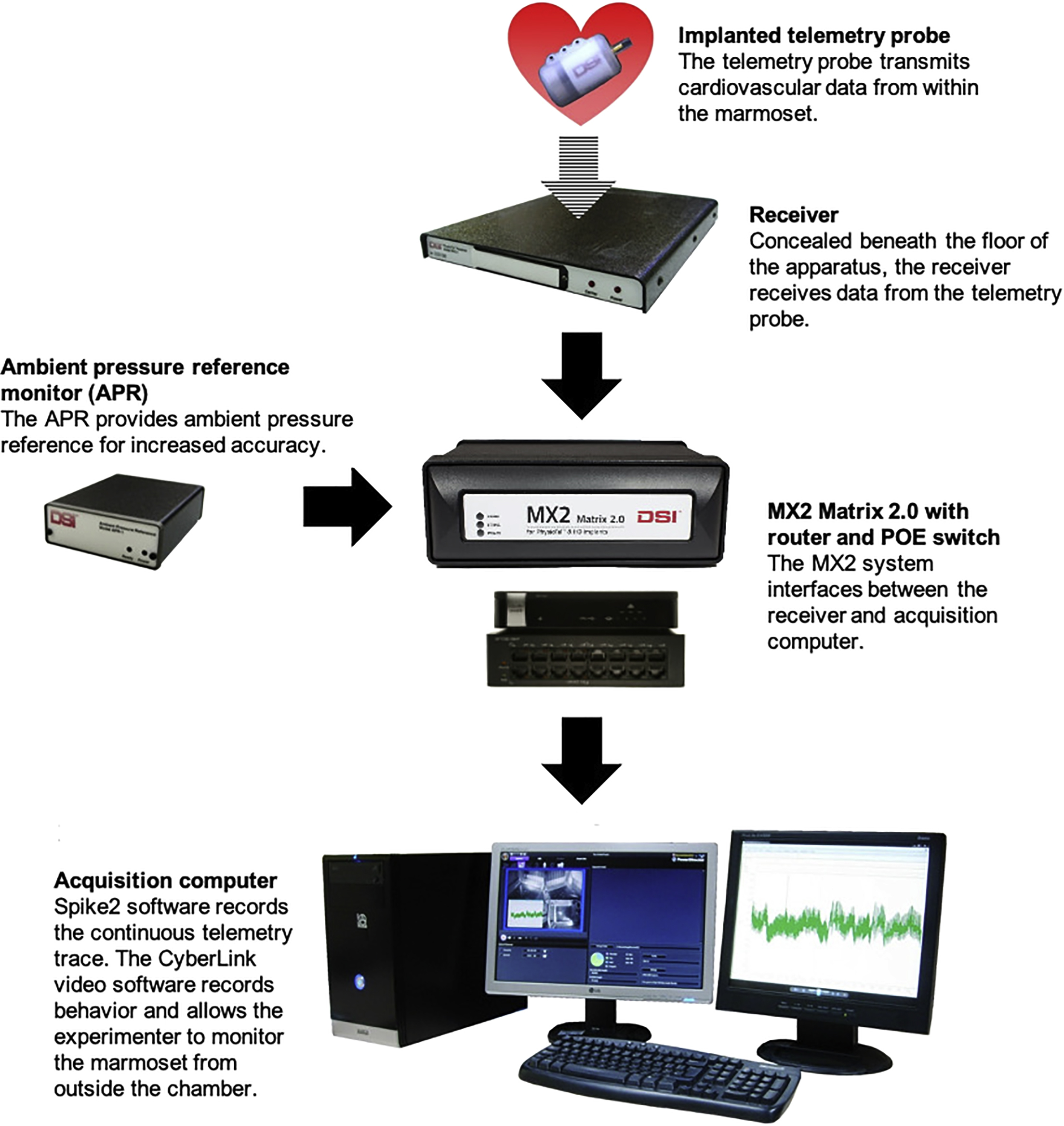 Cell Press: STAR Protocols