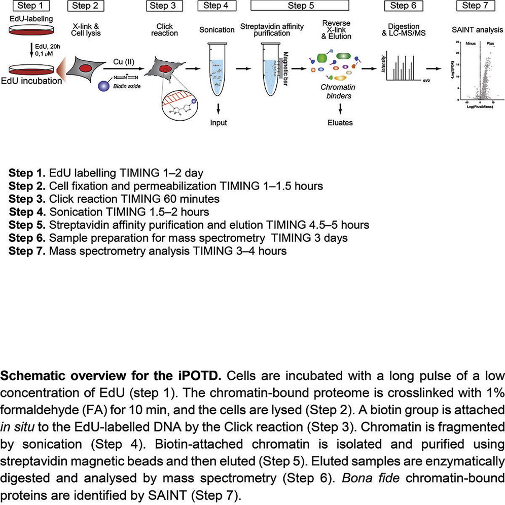 Cell Press: STAR Protocols