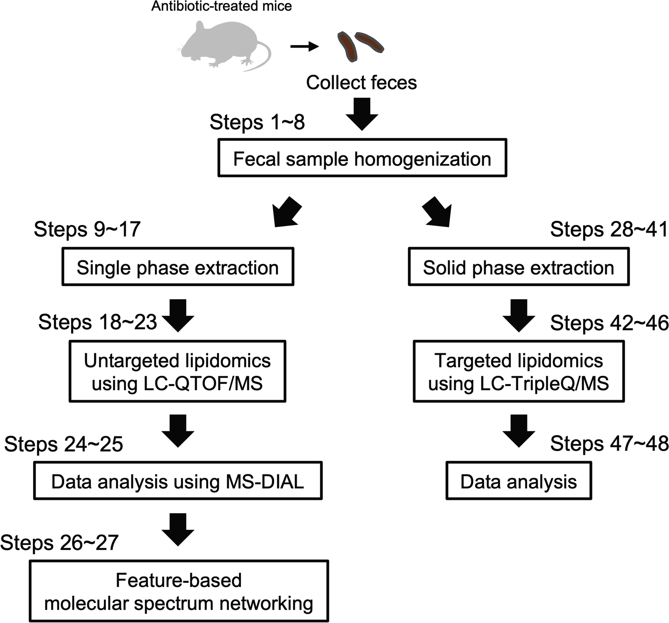 Cell Press: STAR Protocols