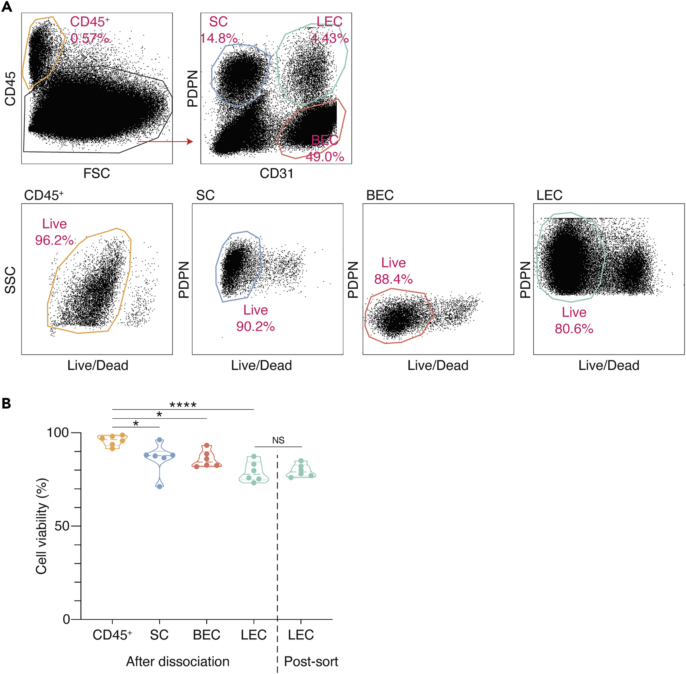 Cell Press: STAR Protocols
