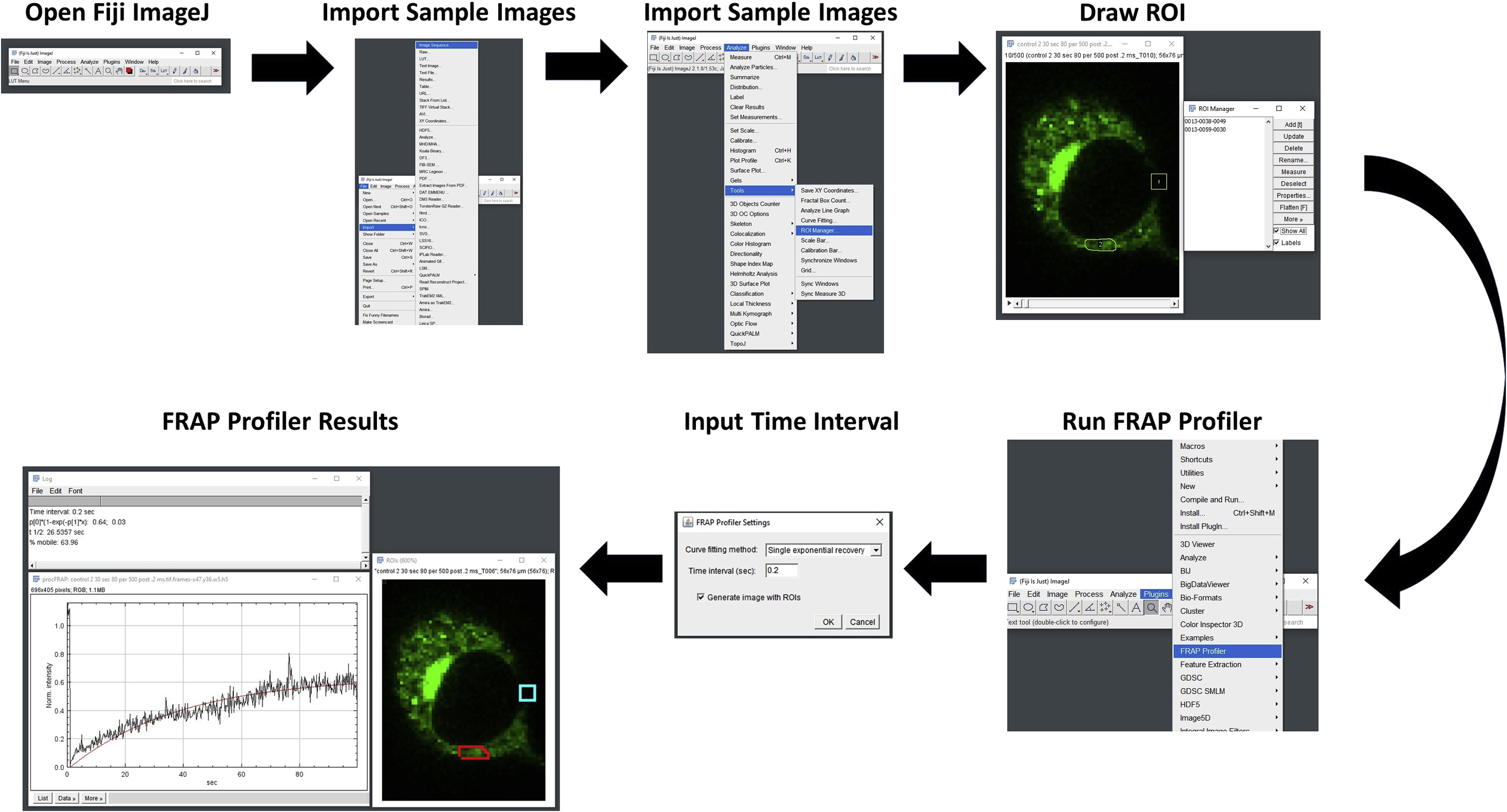 Cell Press: STAR Protocols