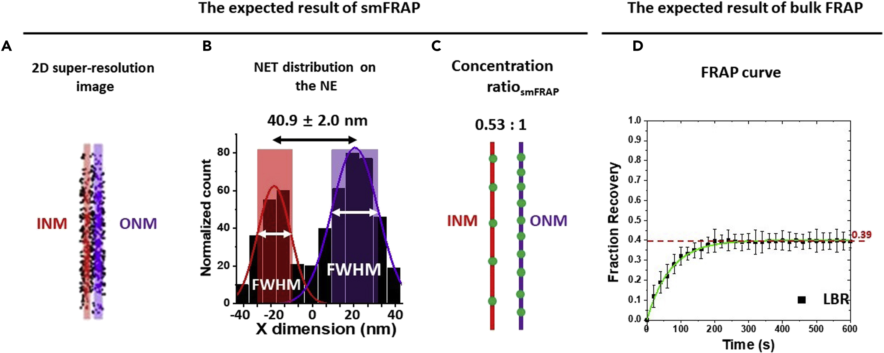 Cell Press: STAR Protocols