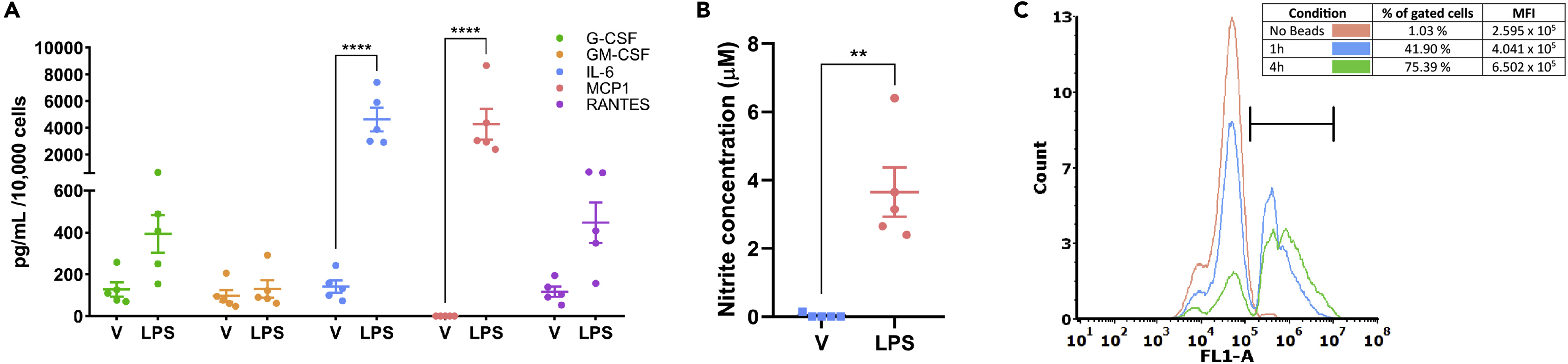 Cell Press: STAR Protocols