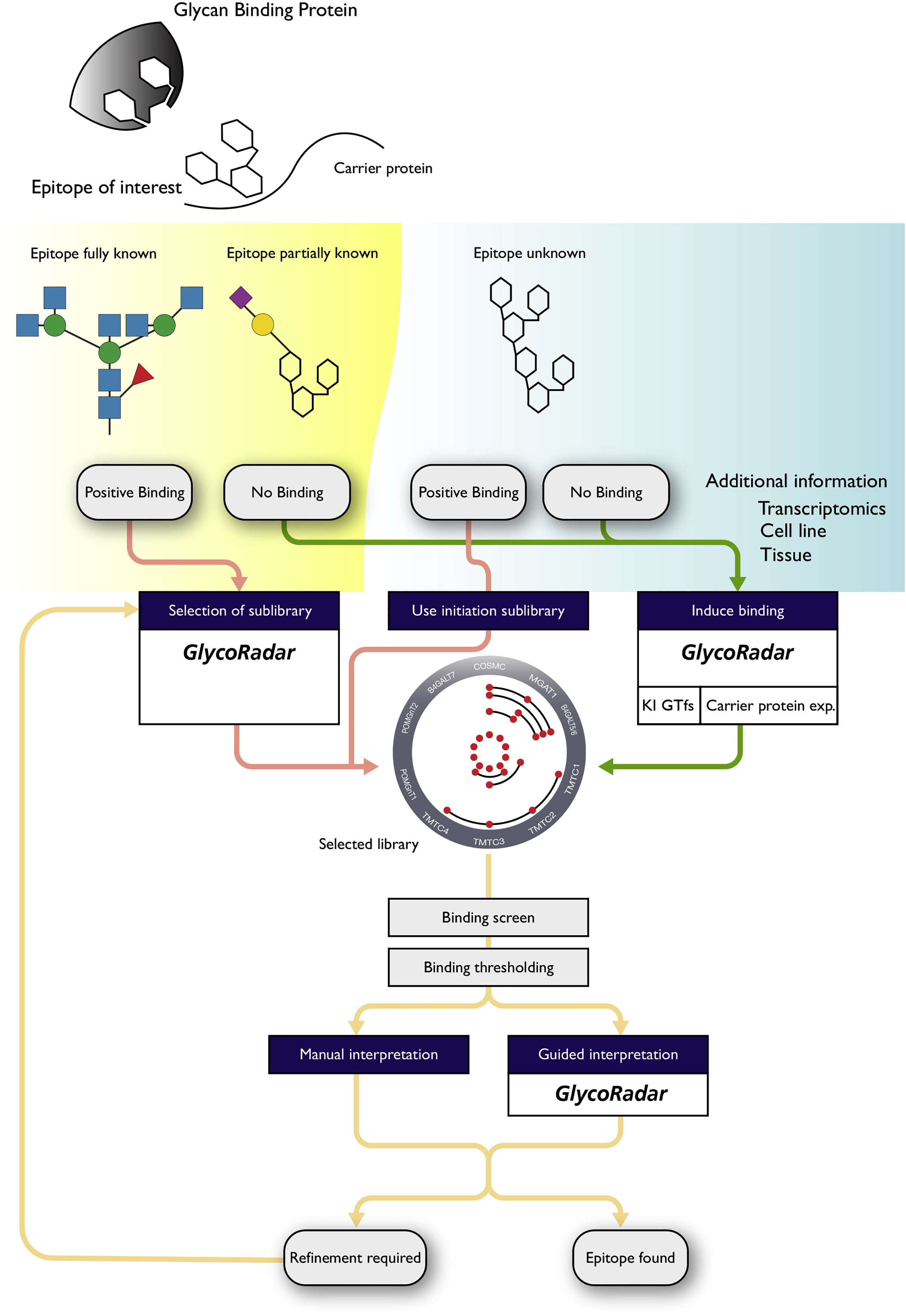 Cell Press: STAR Protocols