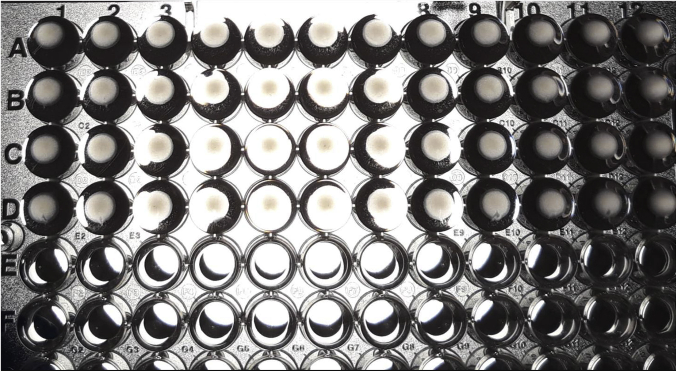 Cell Press: STAR Protocols