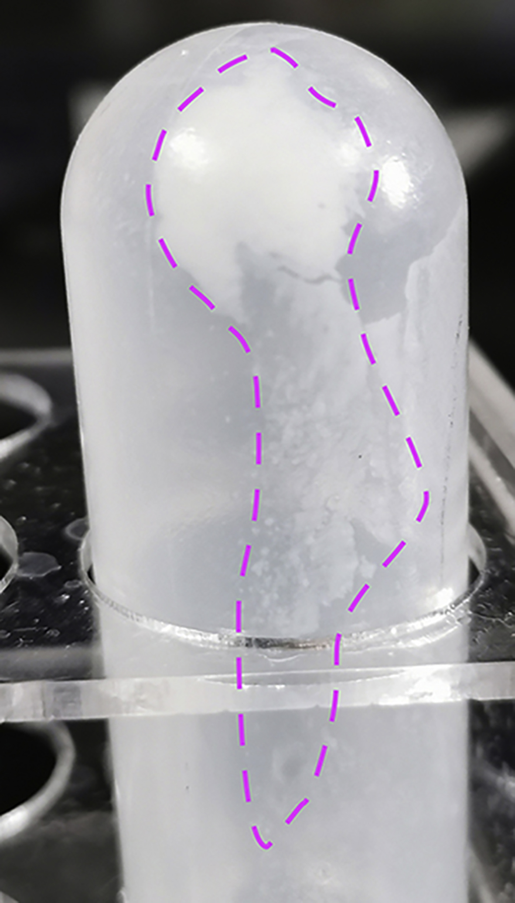 Cell Press: STAR Protocols