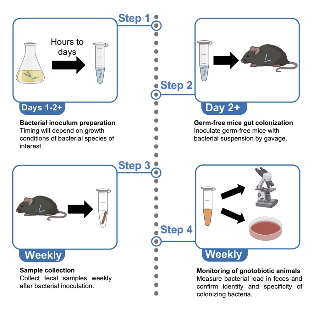 Cell Press: STAR Protocols