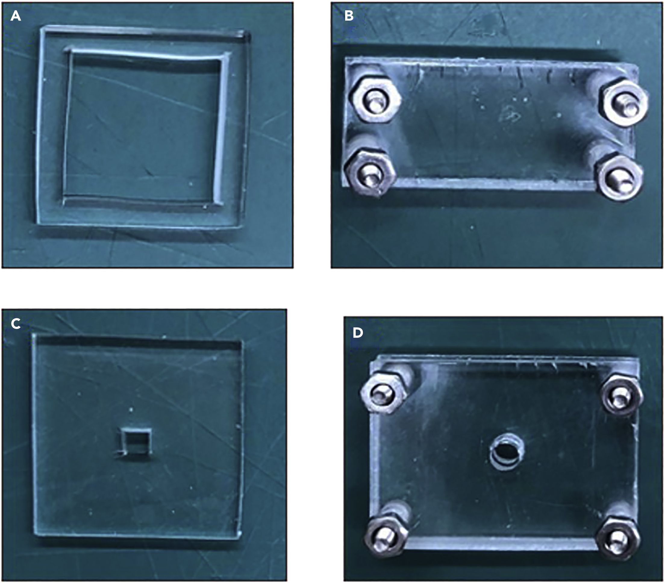 Cell Press: STAR Protocols