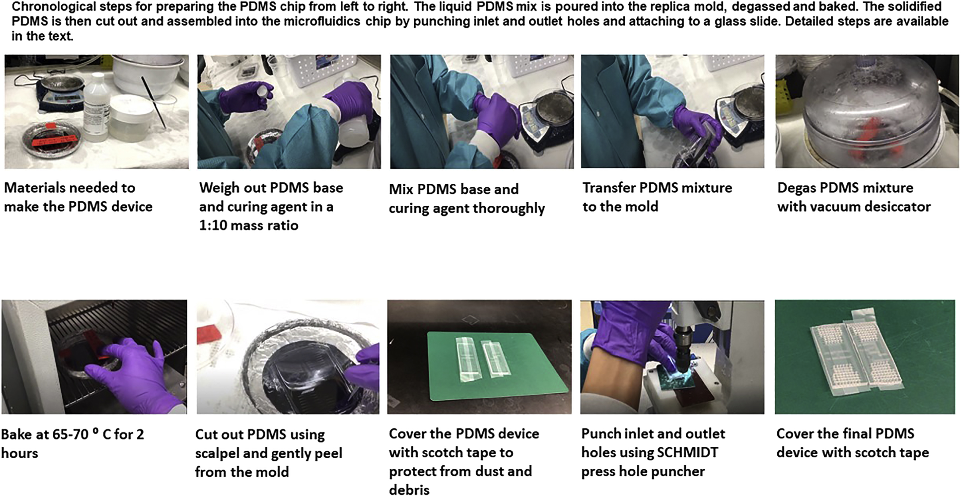 Cell Press: STAR Protocols