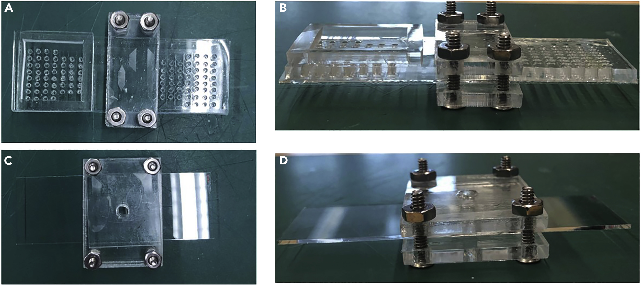 Cell Press: STAR Protocols