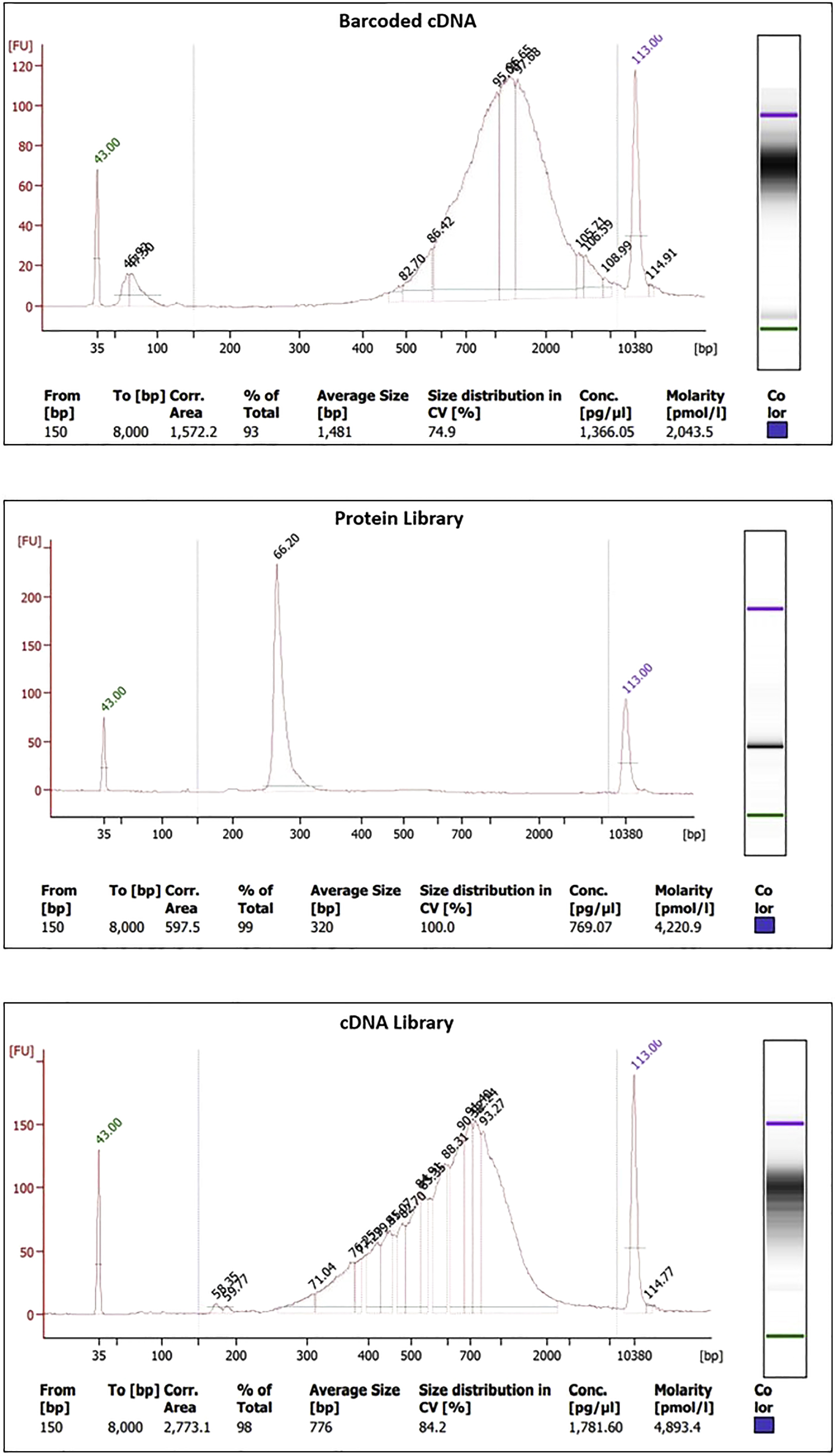 Cell Press: STAR Protocols