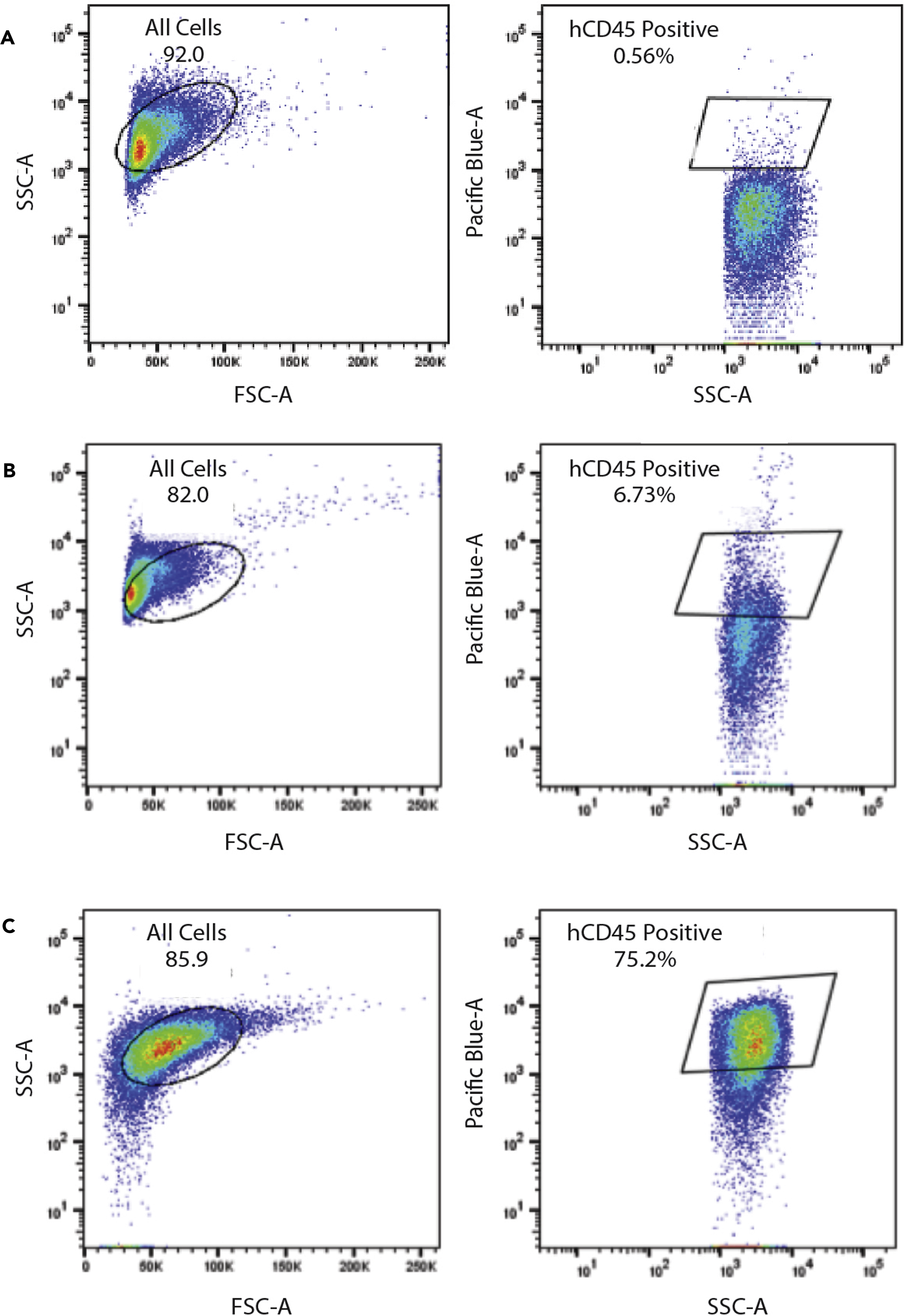 Cell Press: STAR Protocols