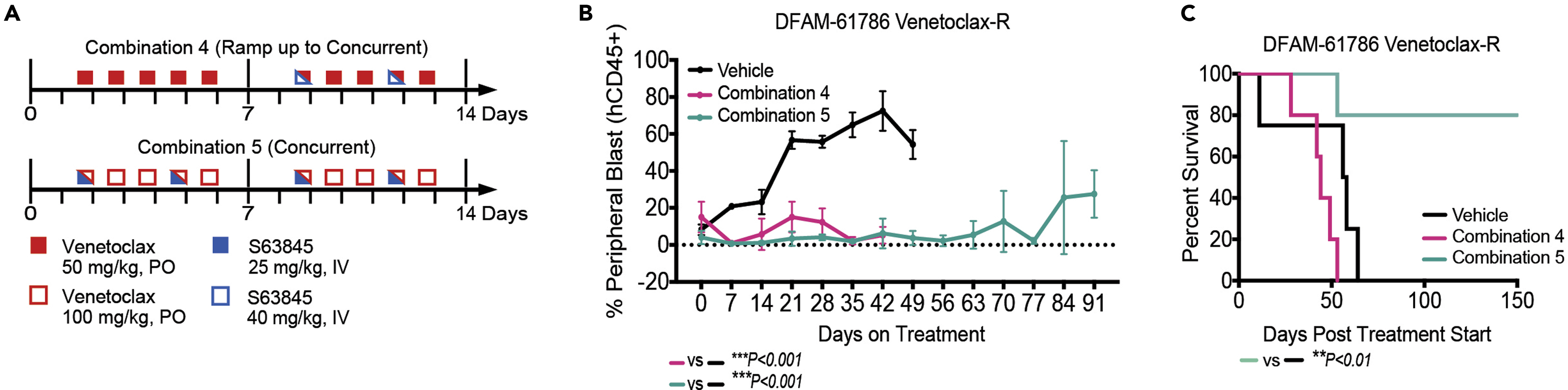 Cell Press: STAR Protocols