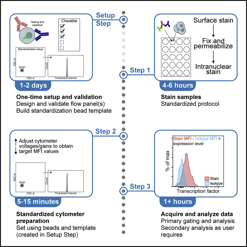 Cell Press: STAR Protocols