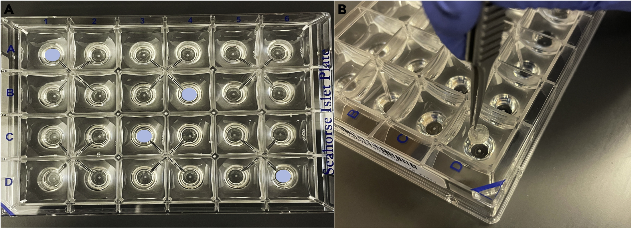 Cell Press: STAR Protocols