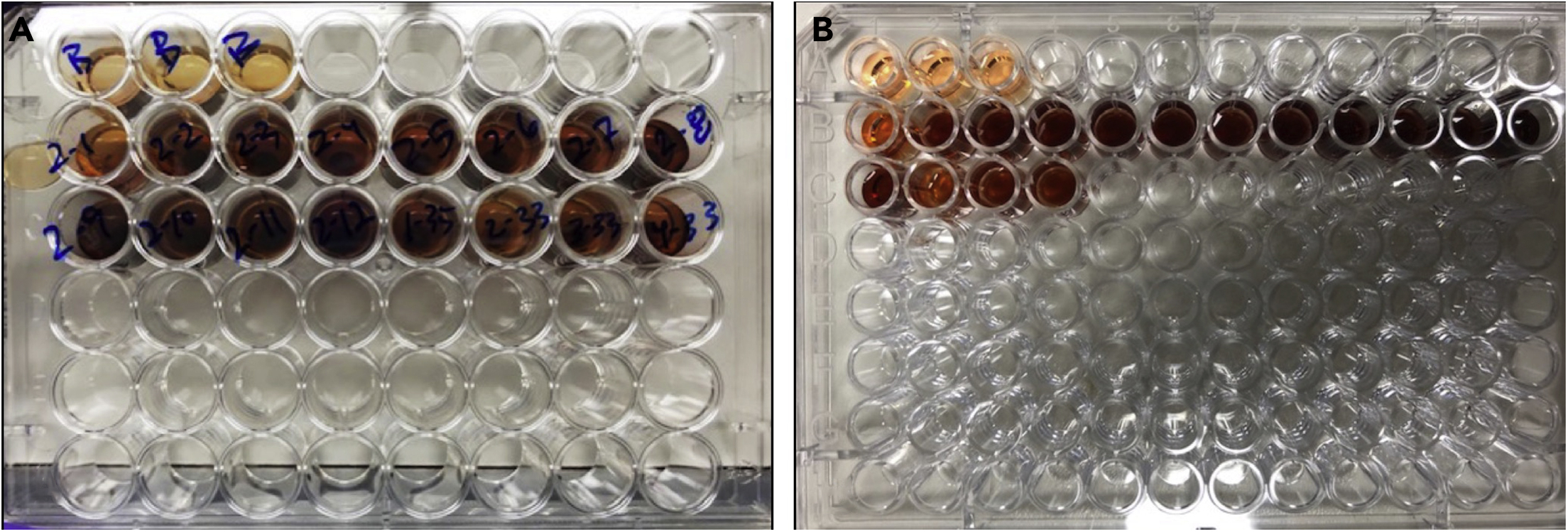 Cell Press: STAR Protocols