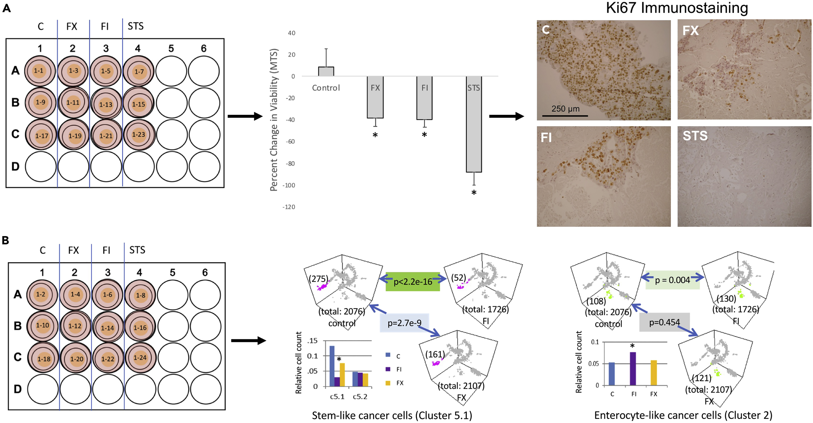 Cell Press: STAR Protocols