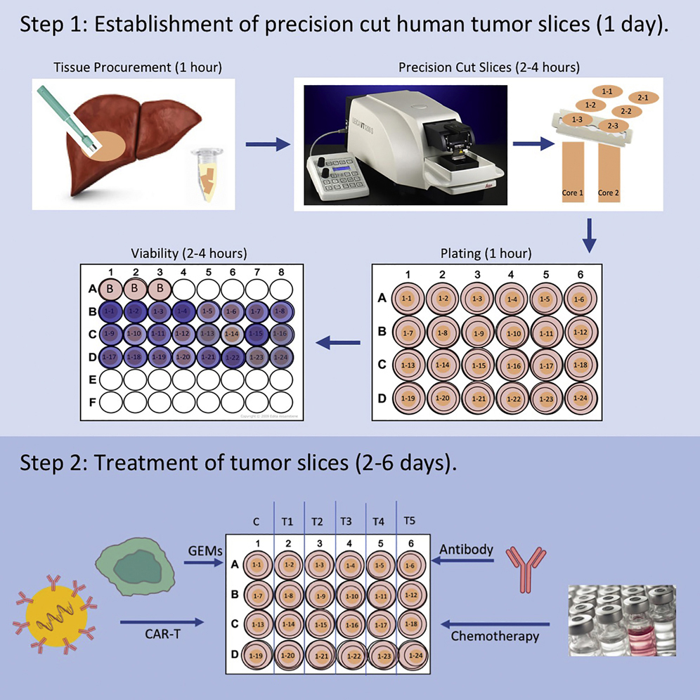 Cell Press: STAR Protocols