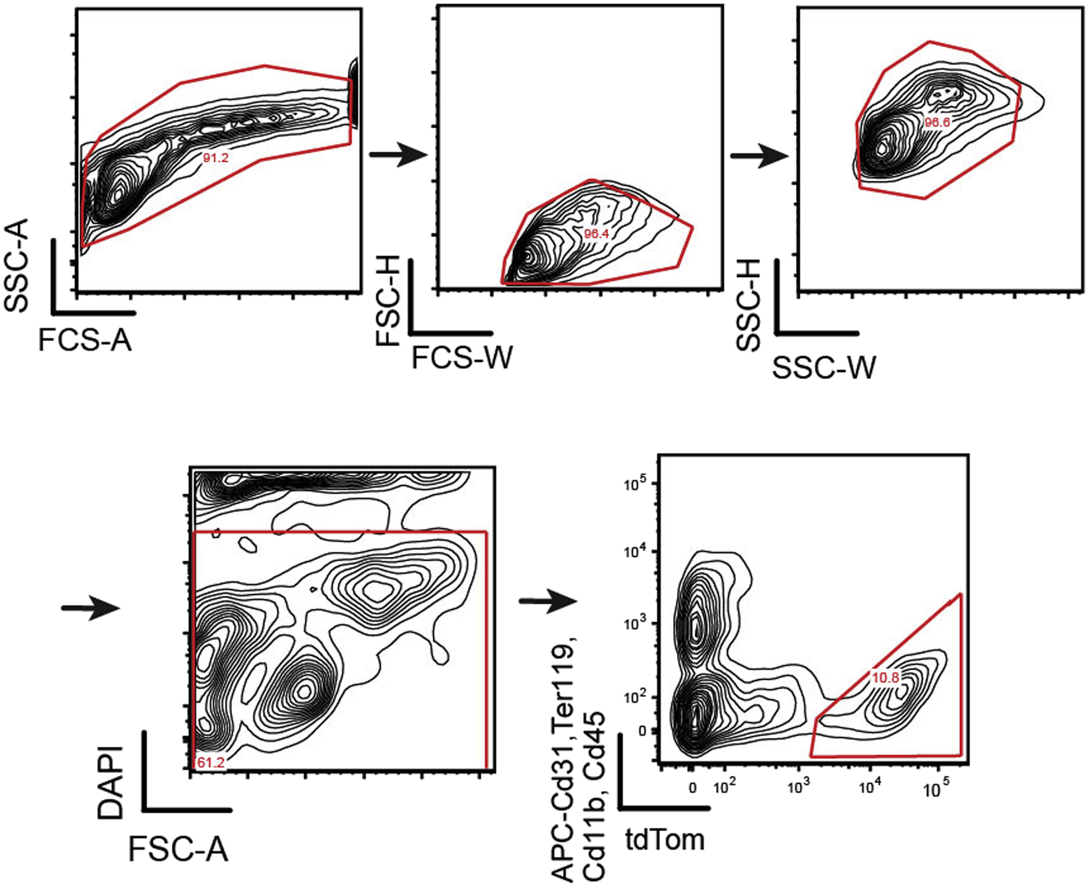 Cell Press: STAR Protocols