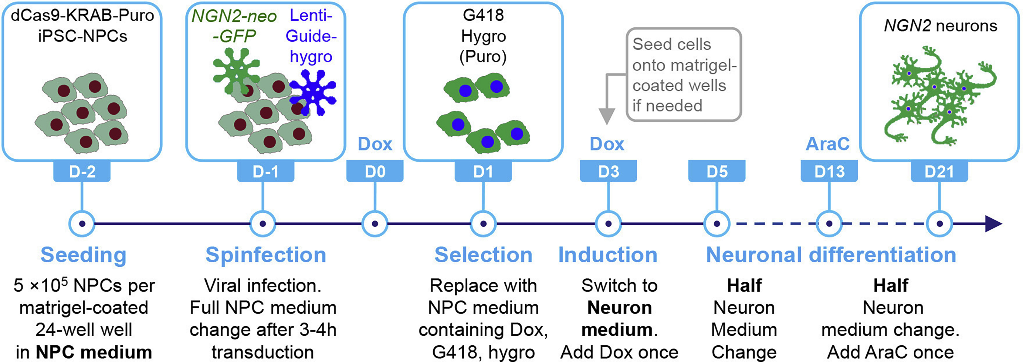 Cell Press: STAR Protocols