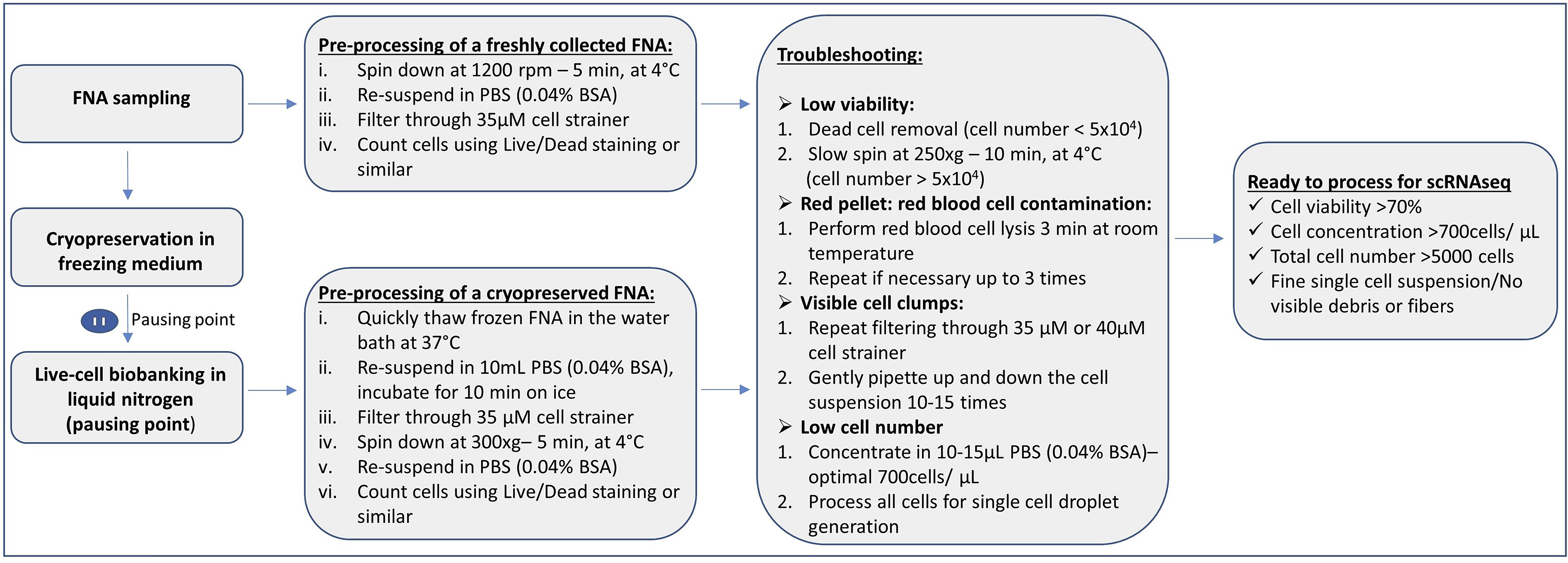 Cell Press: STAR Protocols