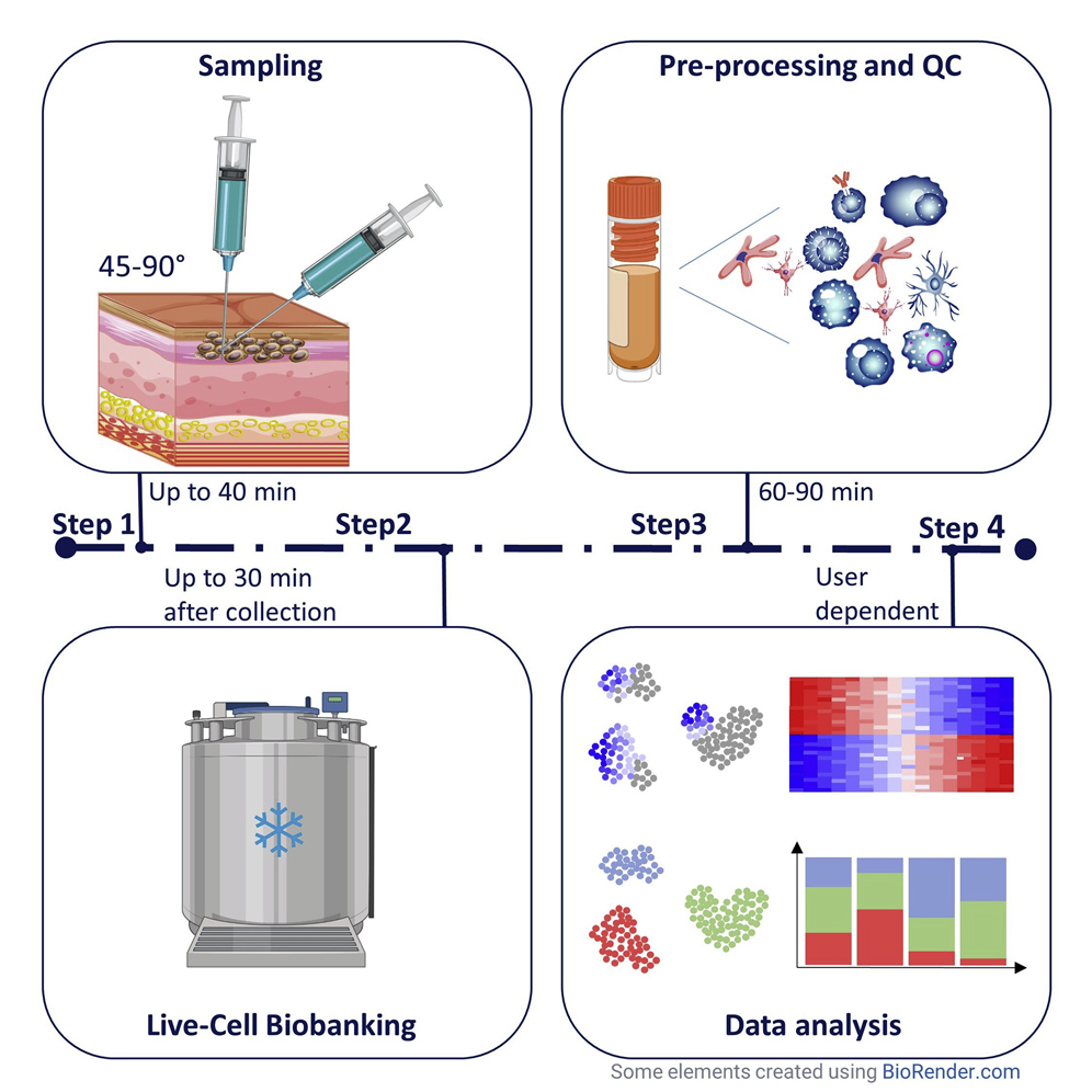Cell Press: STAR Protocols