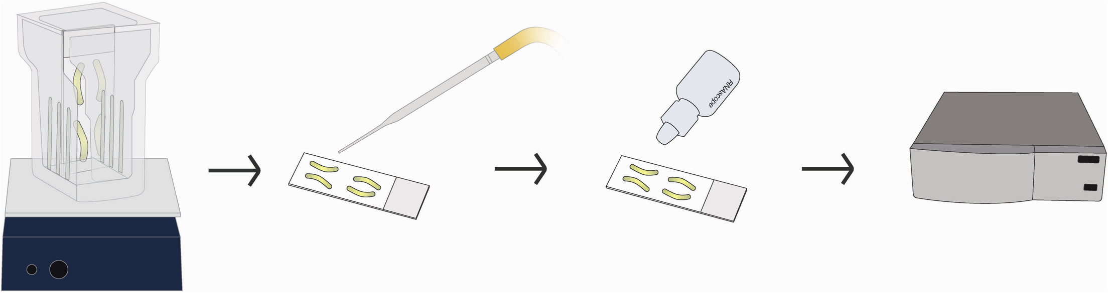 Cell Press: STAR Protocols