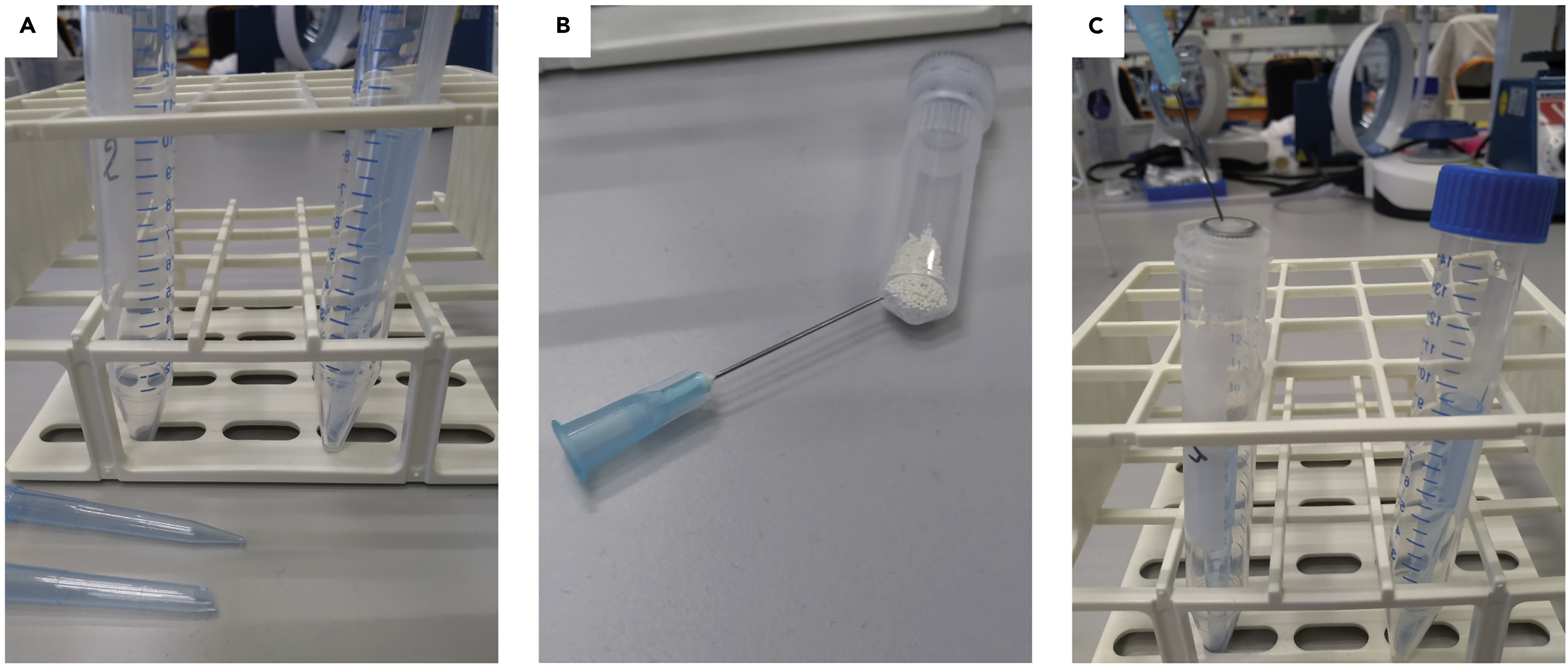 Cell Press: STAR Protocols
