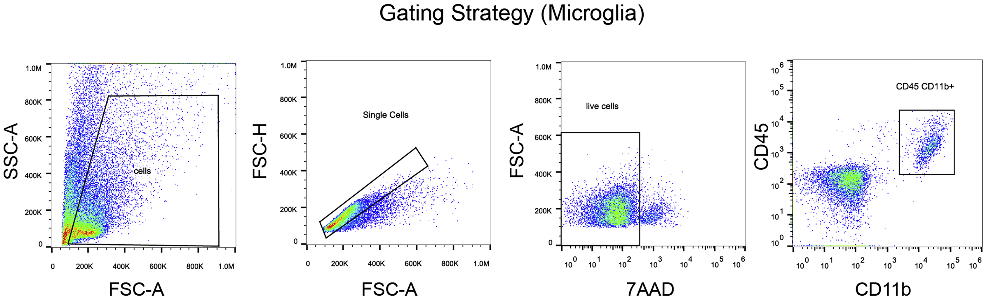 Cell Press: STAR Protocols