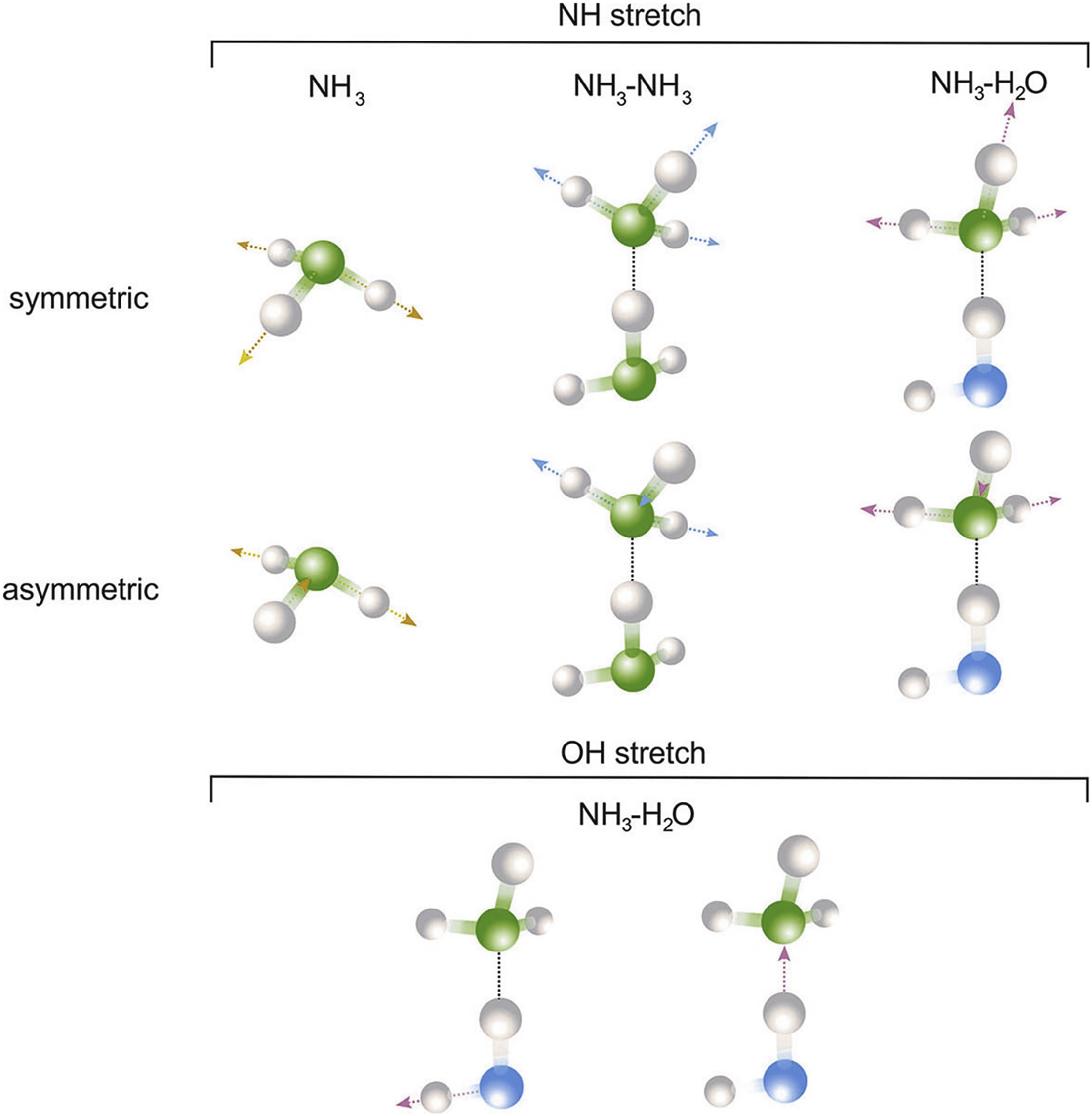 Cell Press: STAR Protocols