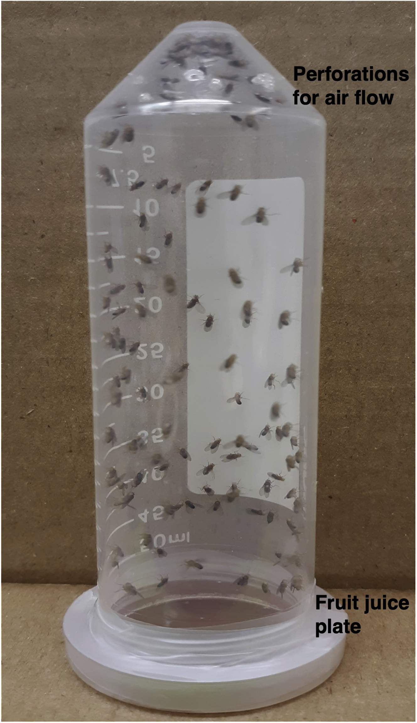 Cell Press: STAR Protocols