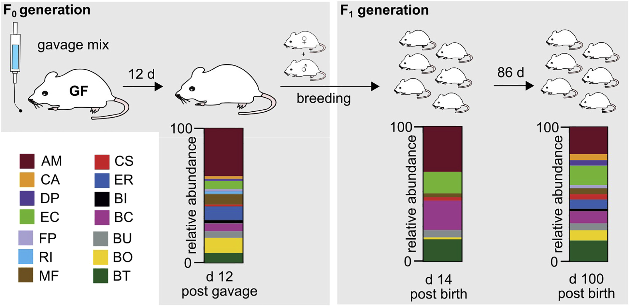 Cell Press: STAR Protocols