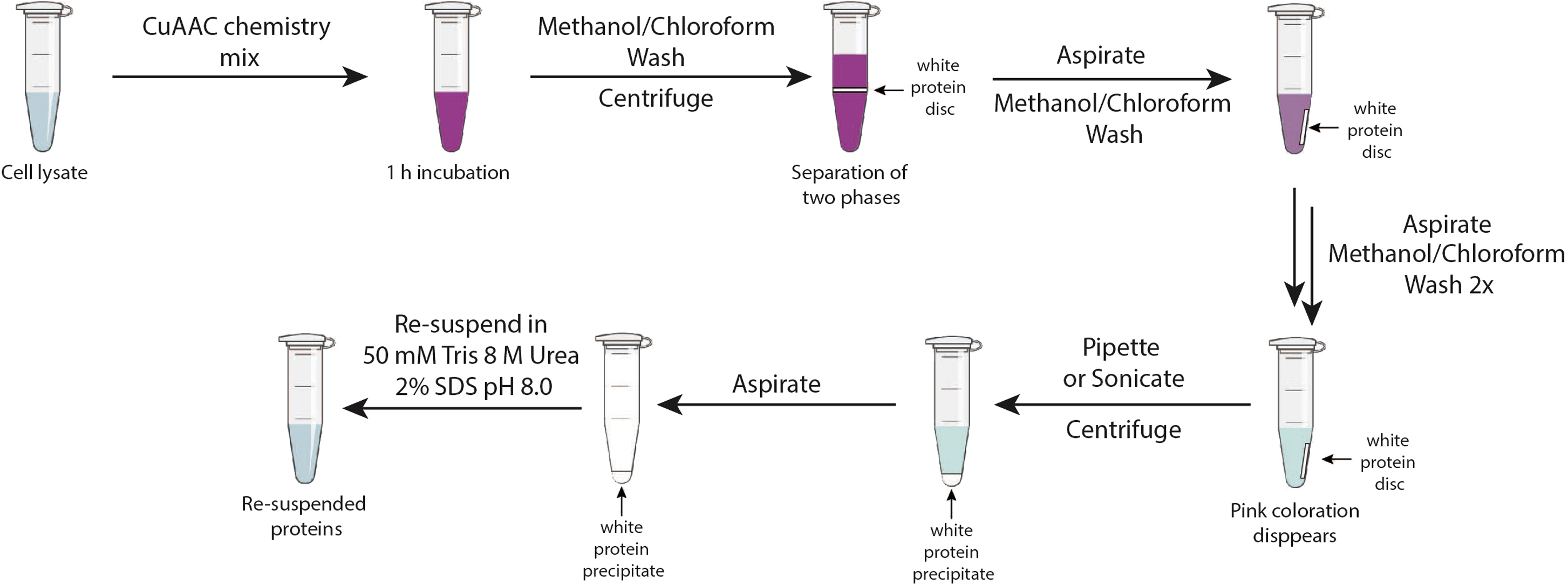 Cell Press: STAR Protocols