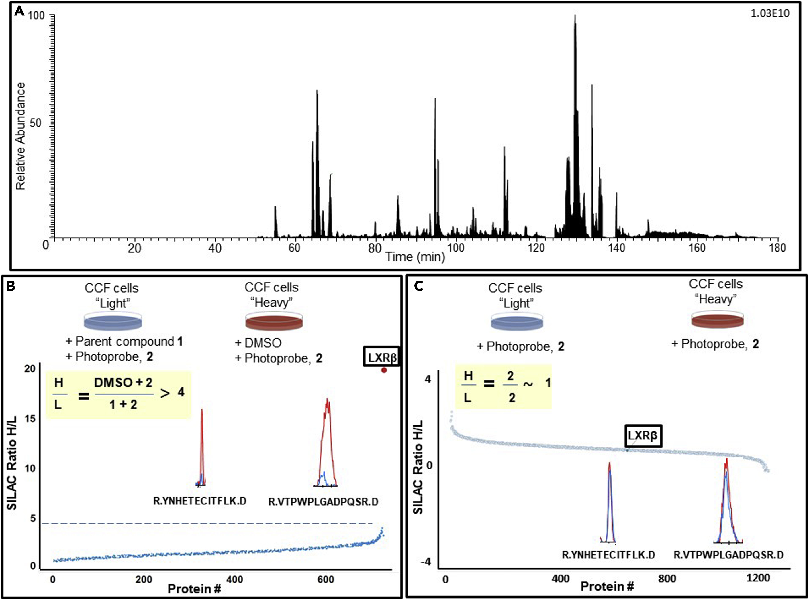 Cell Press: STAR Protocols