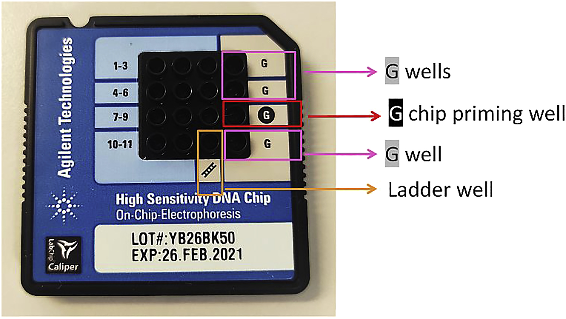 Cell Press: STAR Protocols