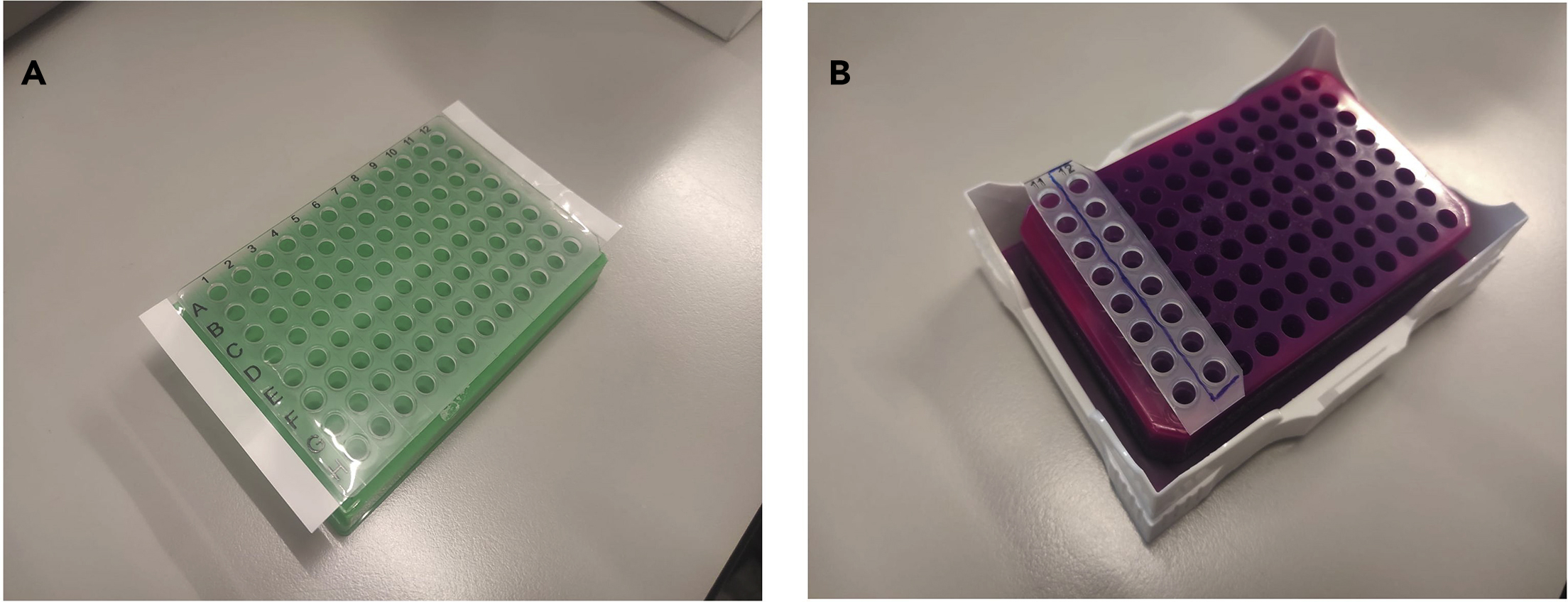 Cell Press: STAR Protocols