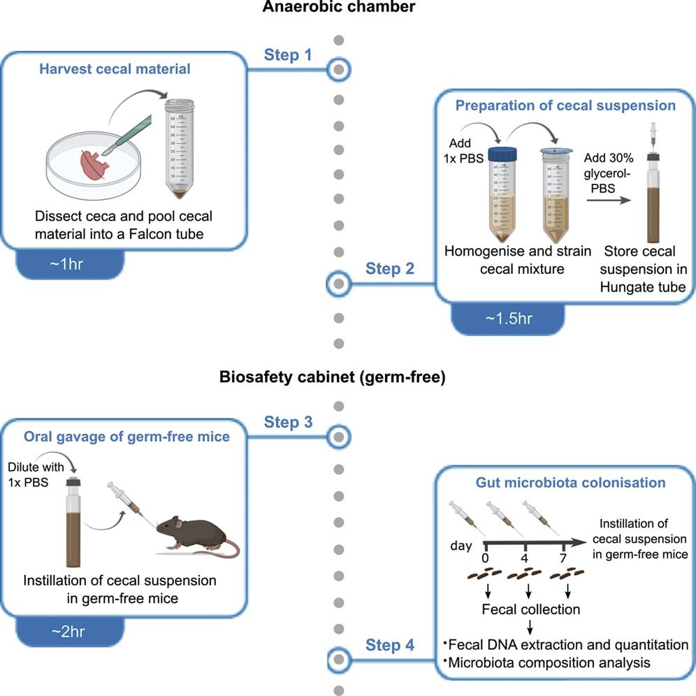 Cell Press: STAR Protocols