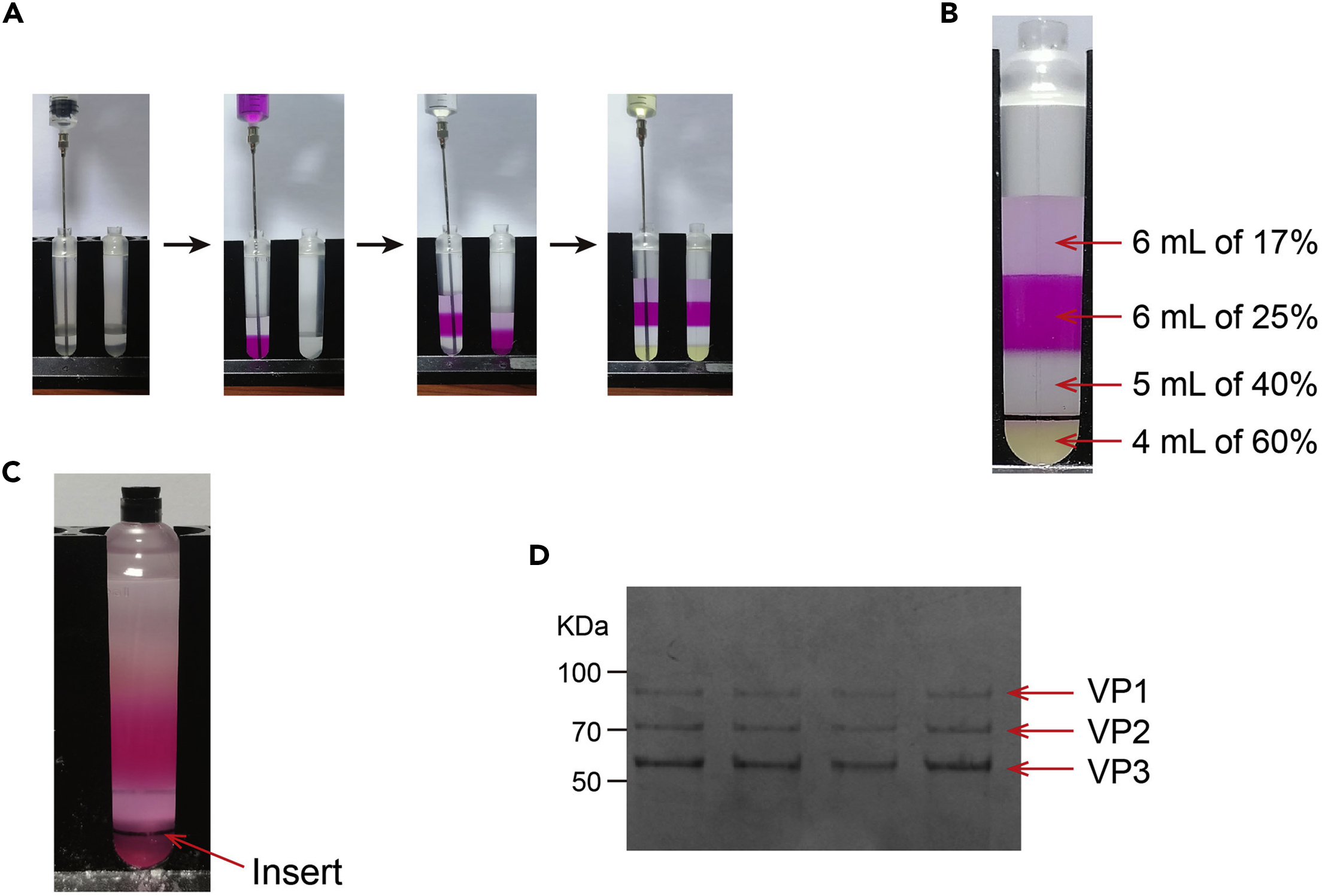 Cell Press: STAR Protocols