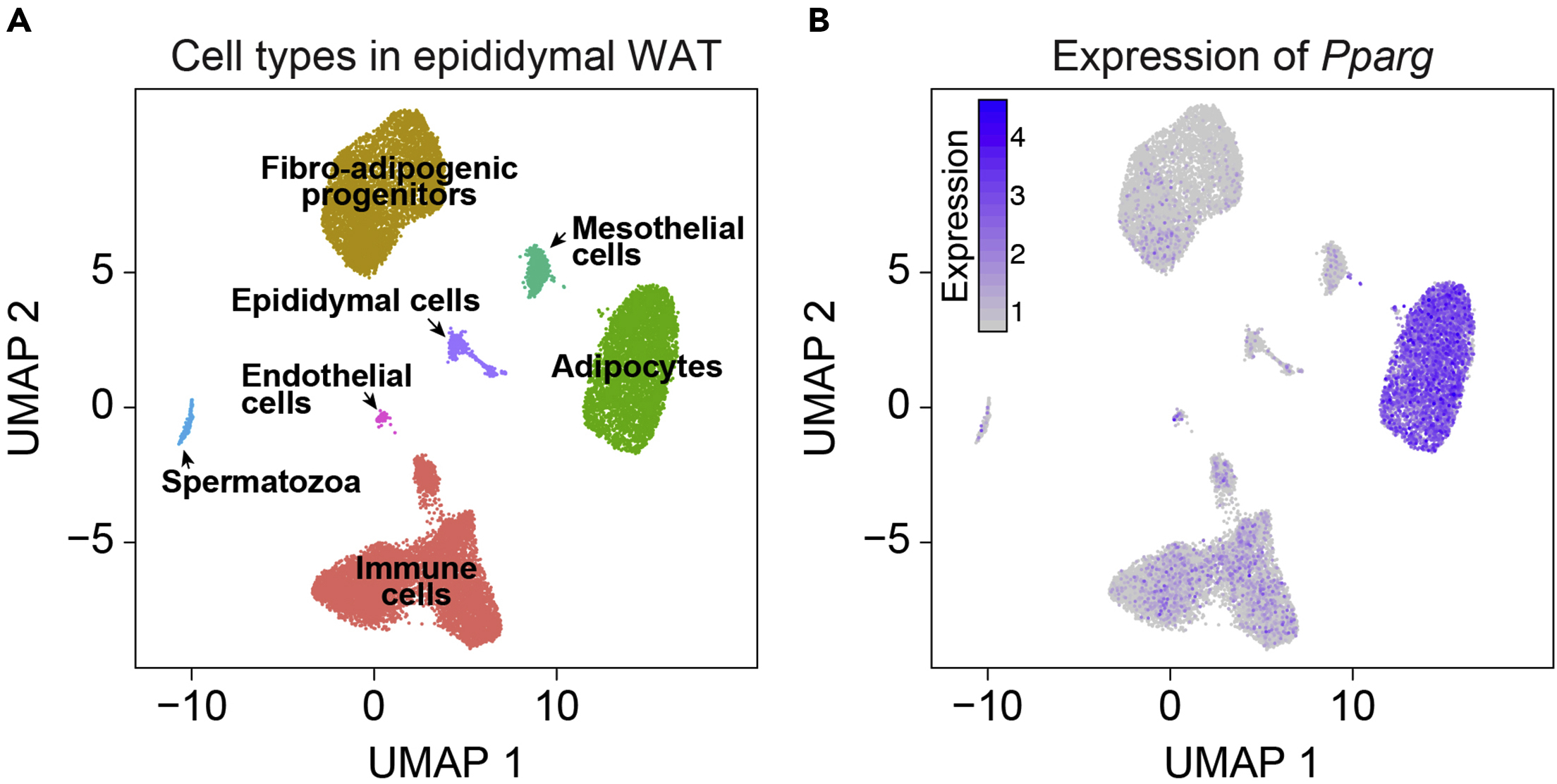 Cell Press: STAR Protocols