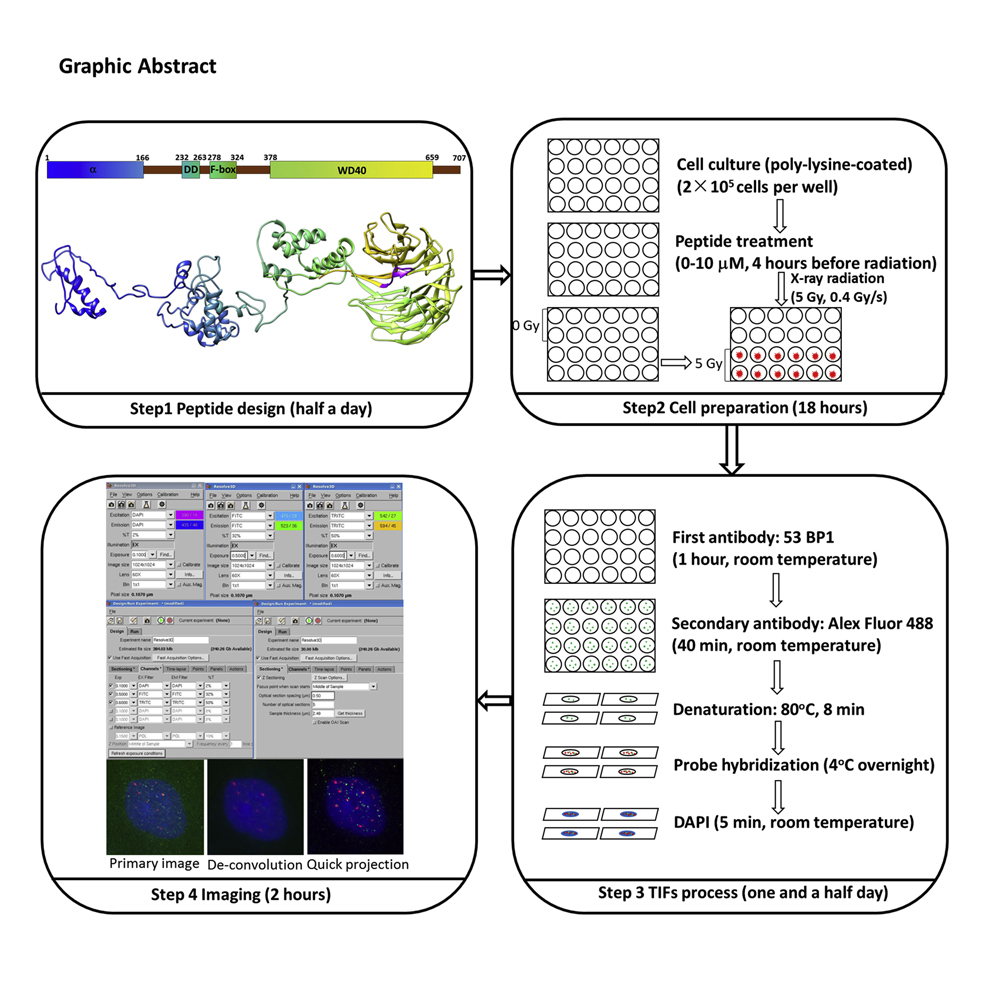 Cell Press: STAR Protocols
