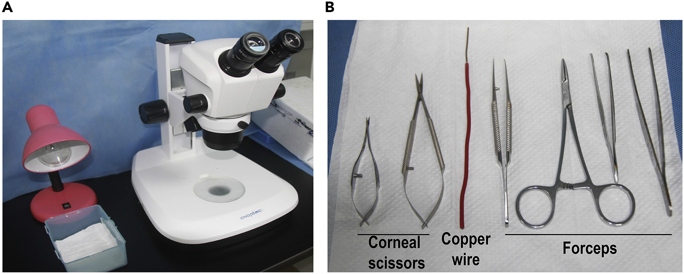 Cell Press: STAR Protocols