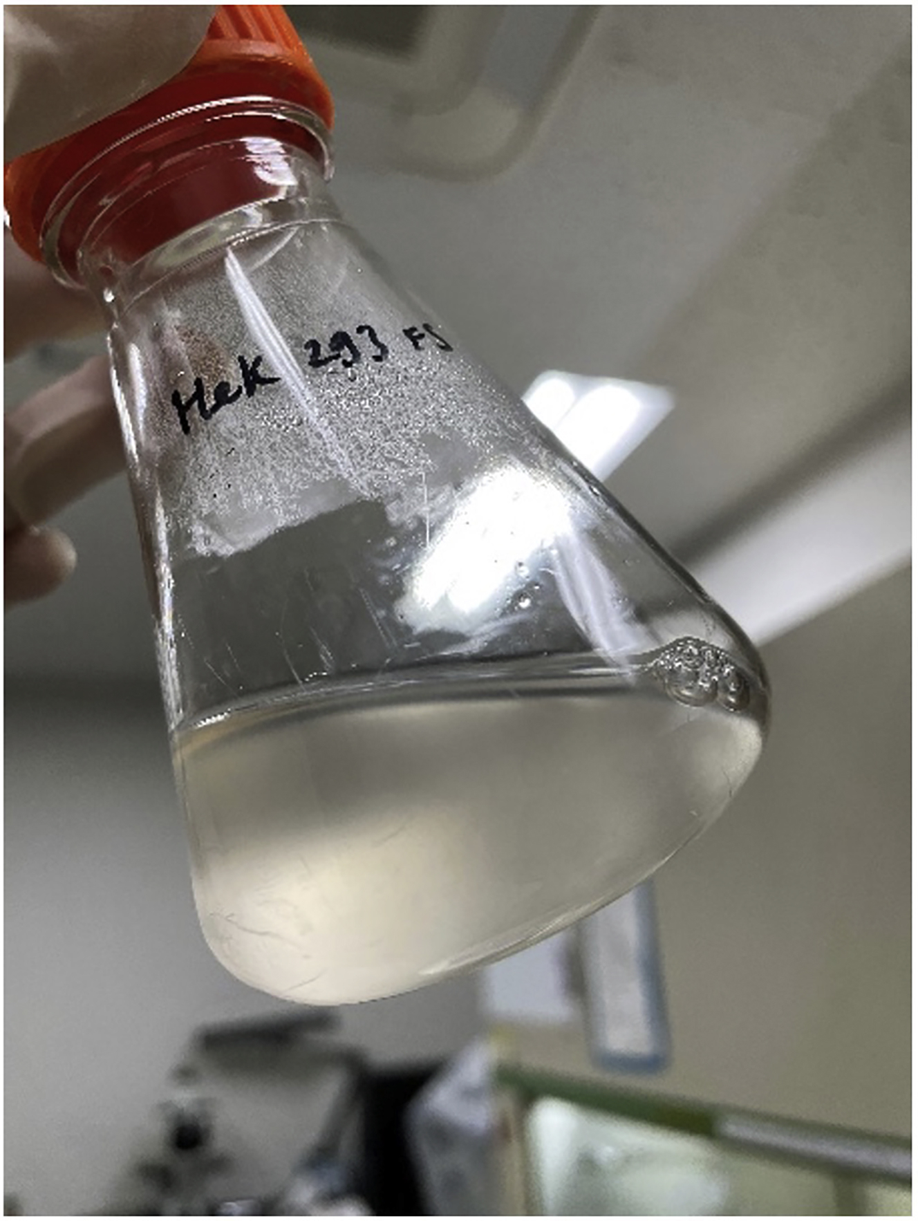 Cell Press: STAR Protocols