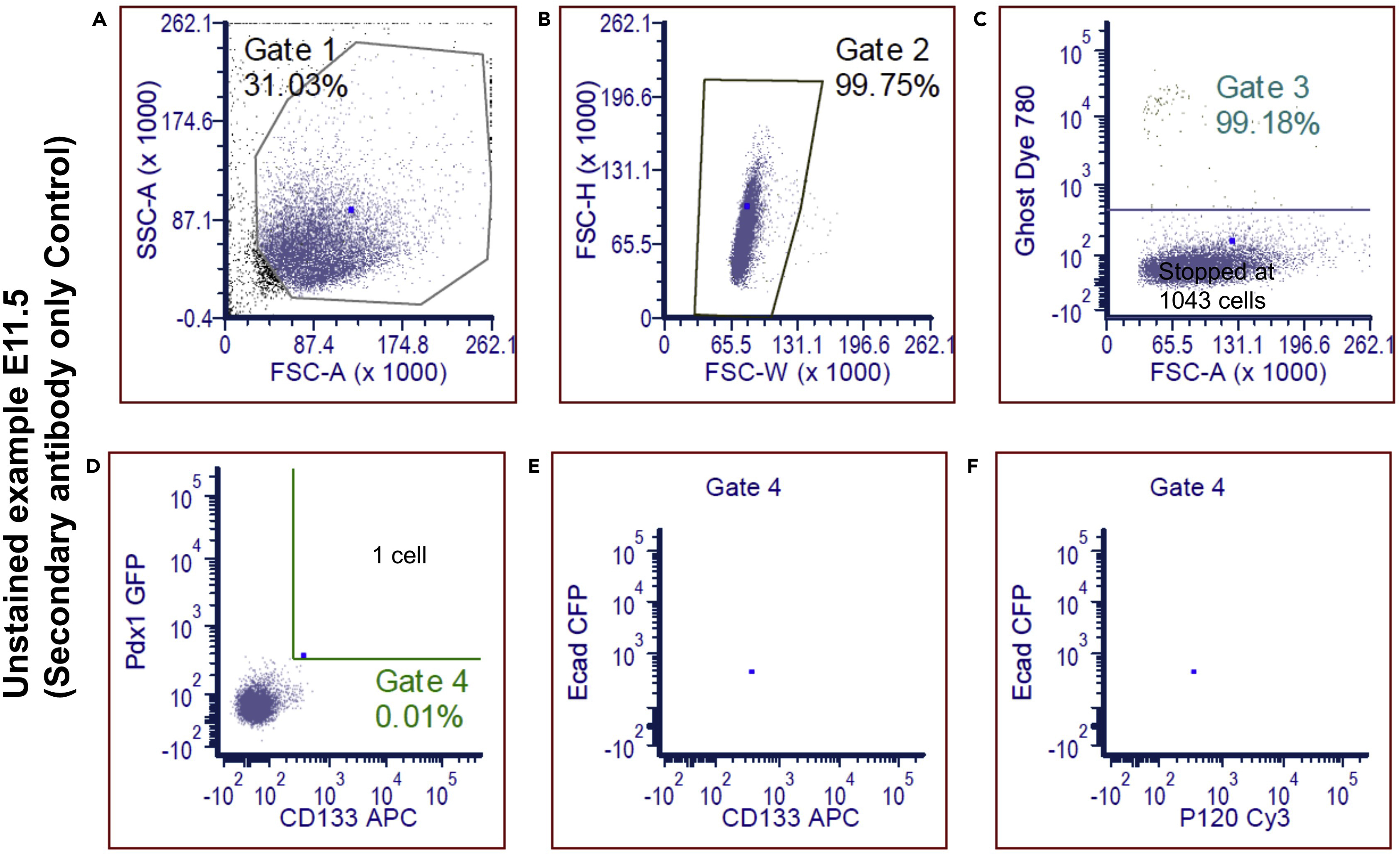 Cell Press: STAR Protocols