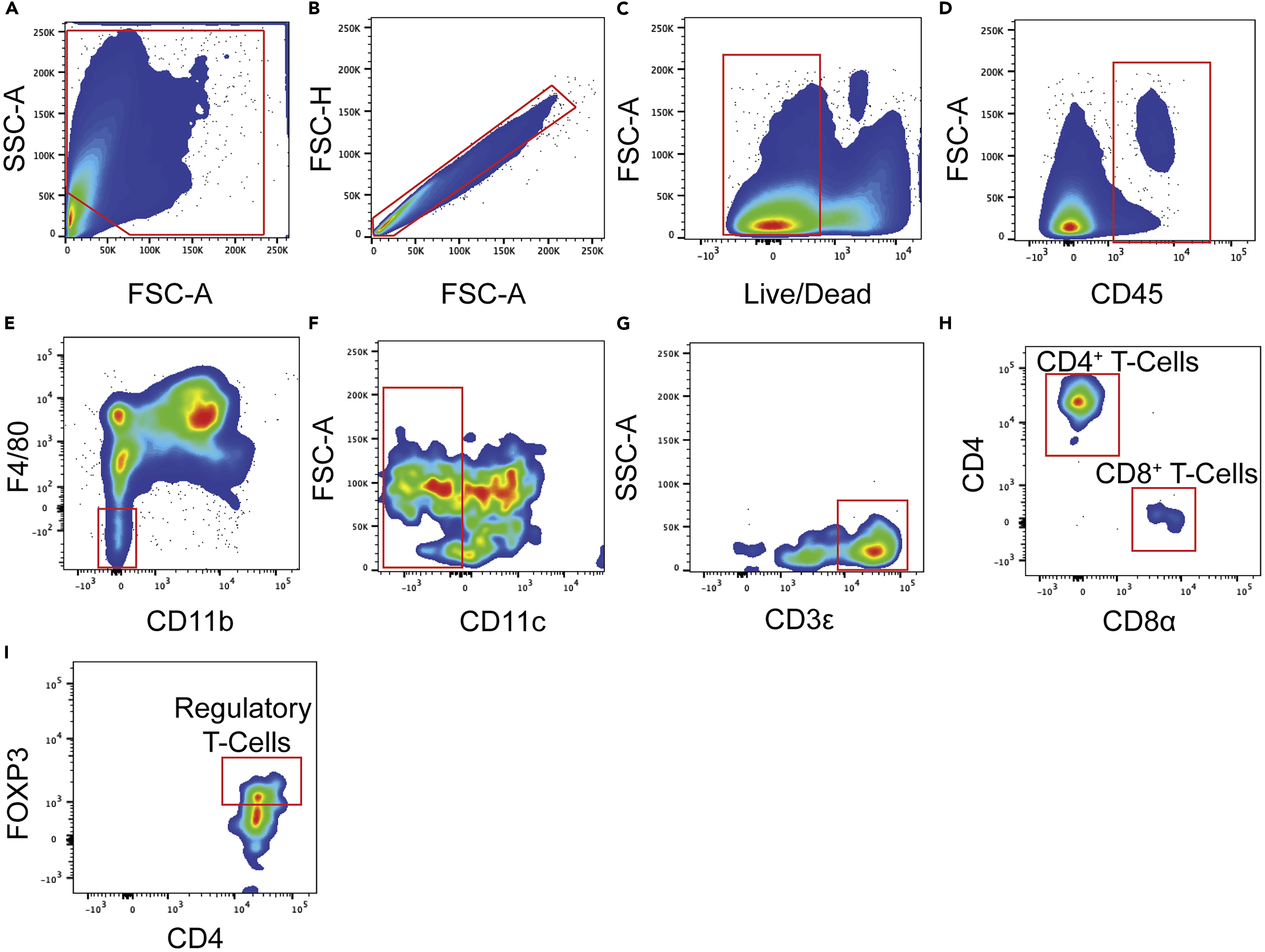 Cell Press: STAR Protocols