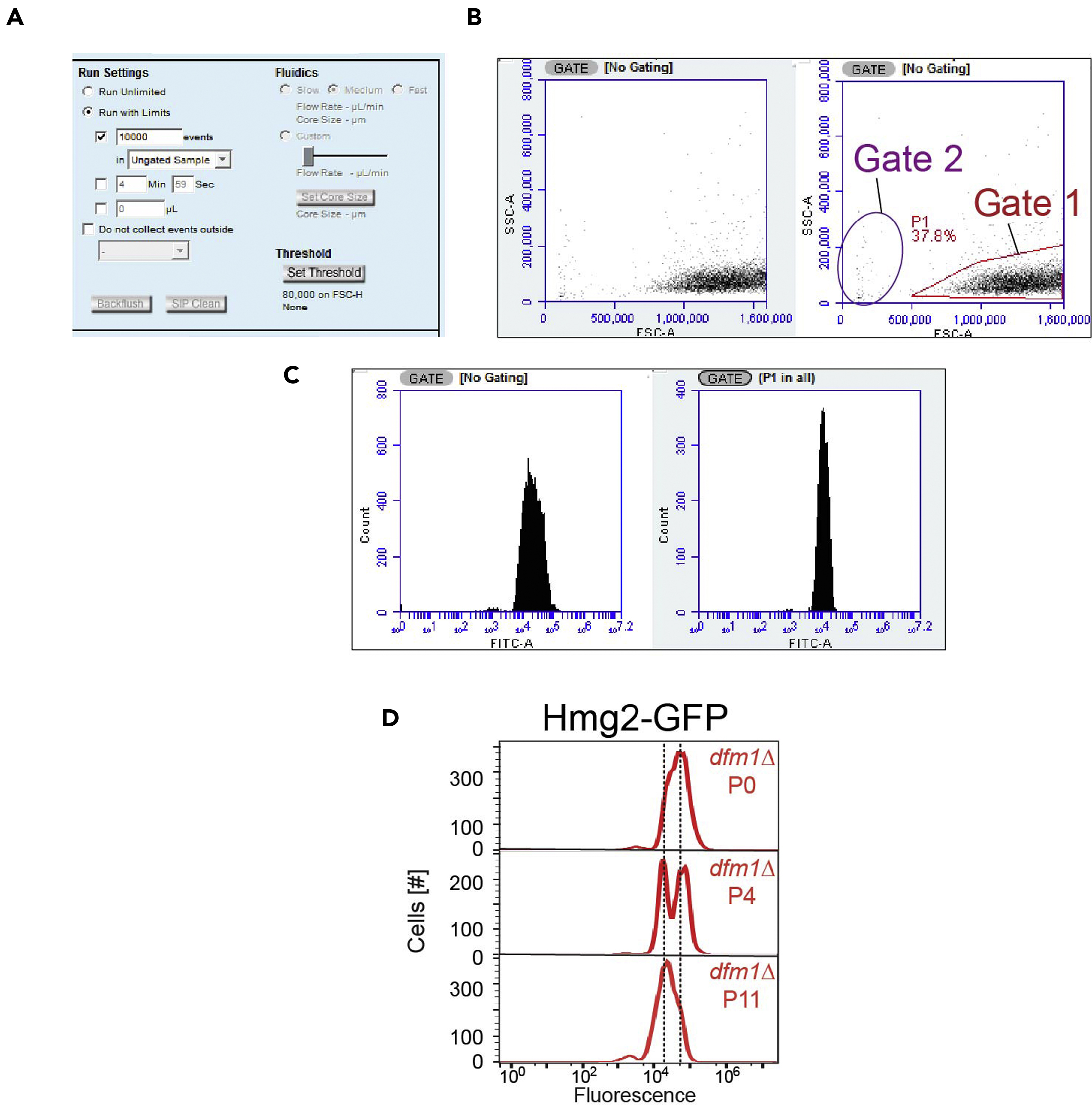 Cell Press: STAR Protocols